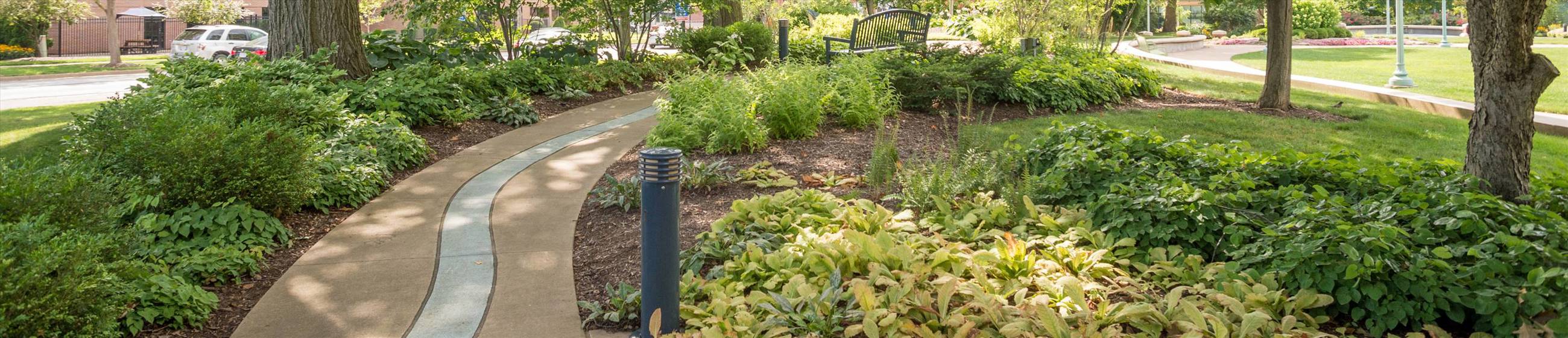 Arborguard Tree Specialists | Class A Commerical