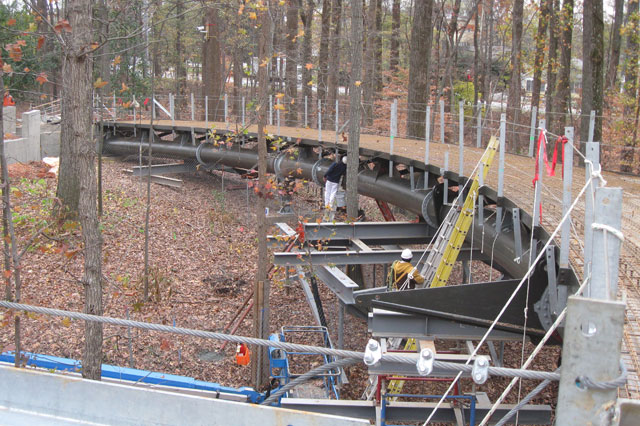 Arborguard Tree Specialists | Tree Conservation & Sustainable Management