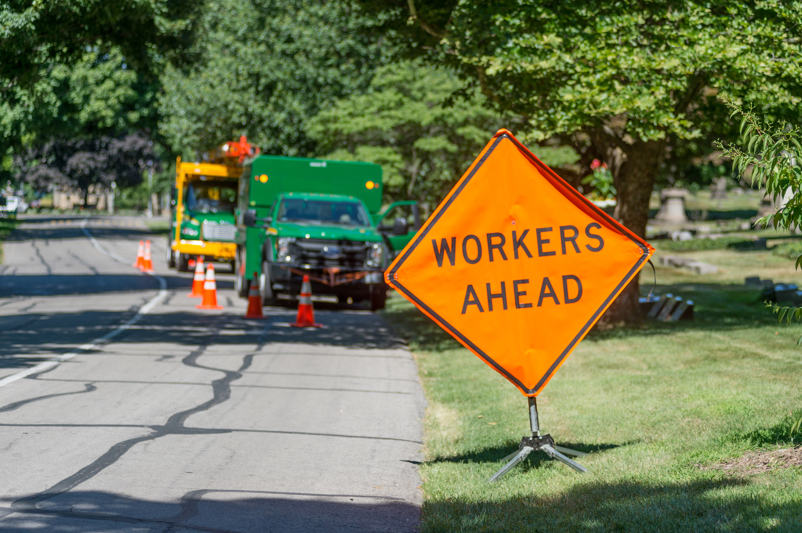 Arborguard Tree Specialists | Safety