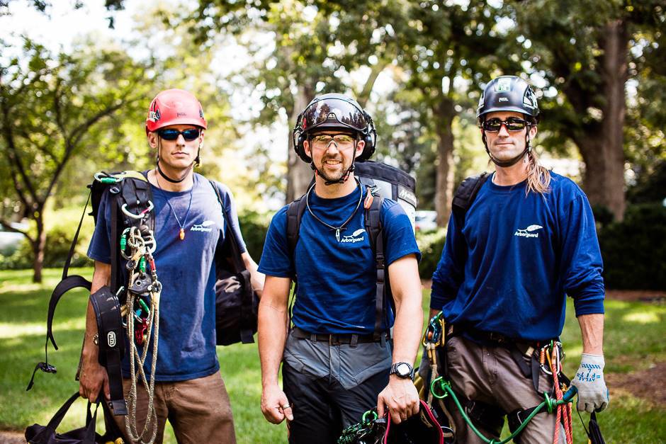 Arborguard Professional Tree Care Services Near Atlanta & Charlotte