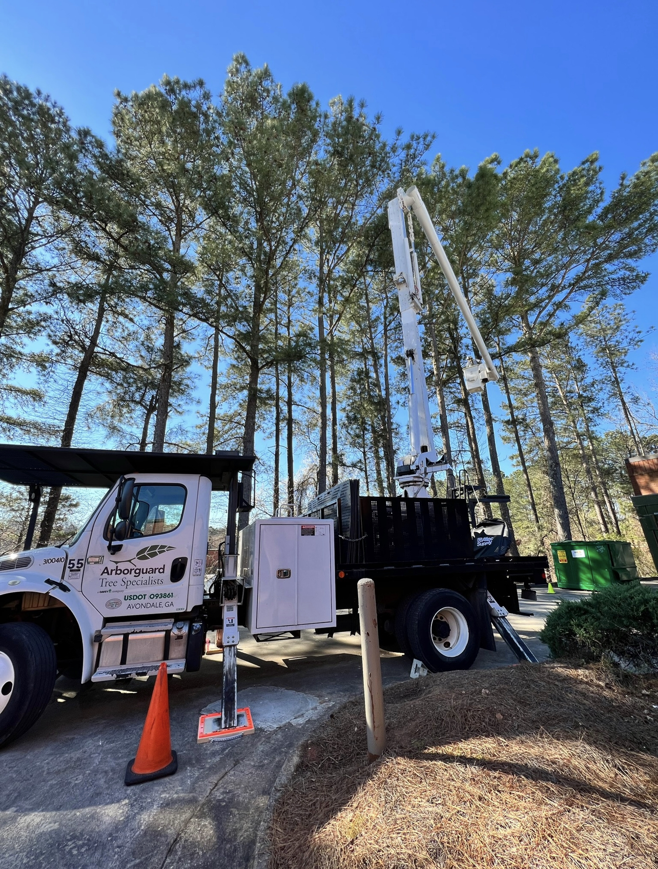 Arborguard Professional Tree Care Services Near Atlanta & Charlotte