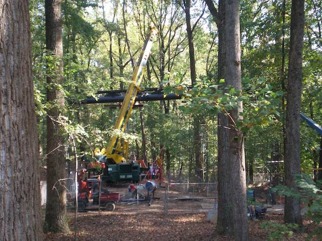 Arborguard Tree Specialists | Botanical Garden