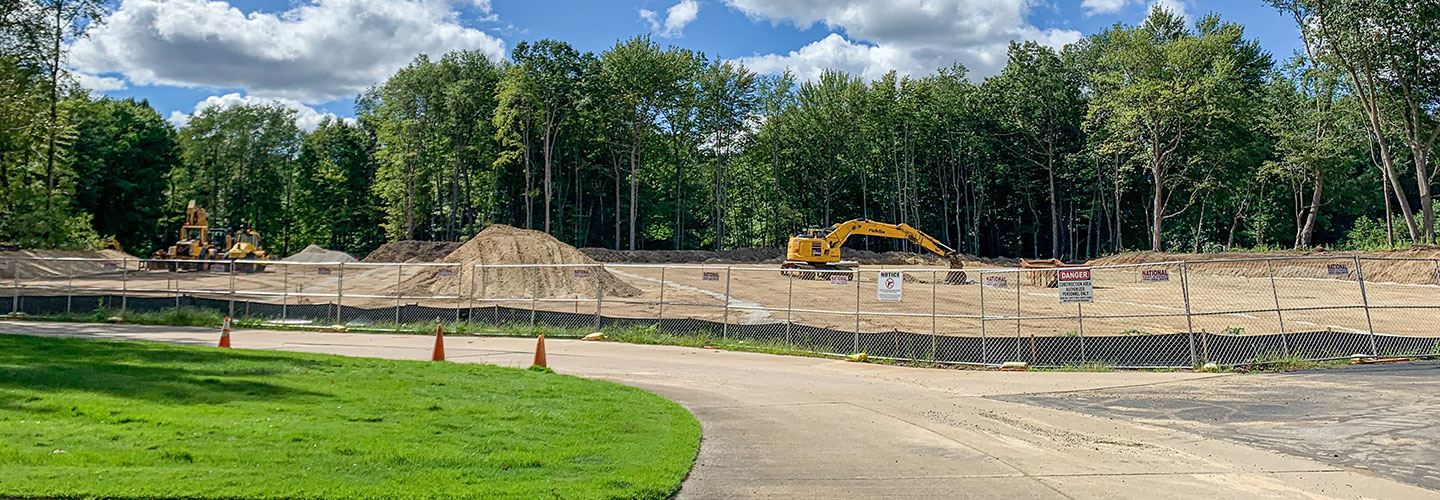 Arborguard Tree Specialists | Tree Conservation & Sustainable Management