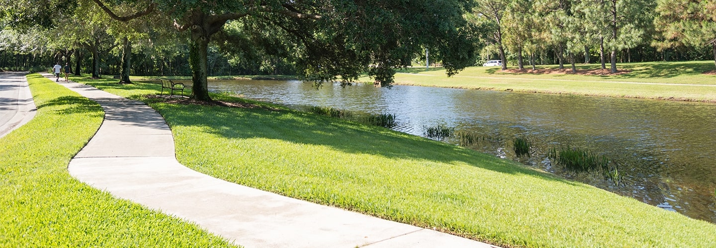 Arborguard Tree Specialists | Cities, Parks & Greenspaces