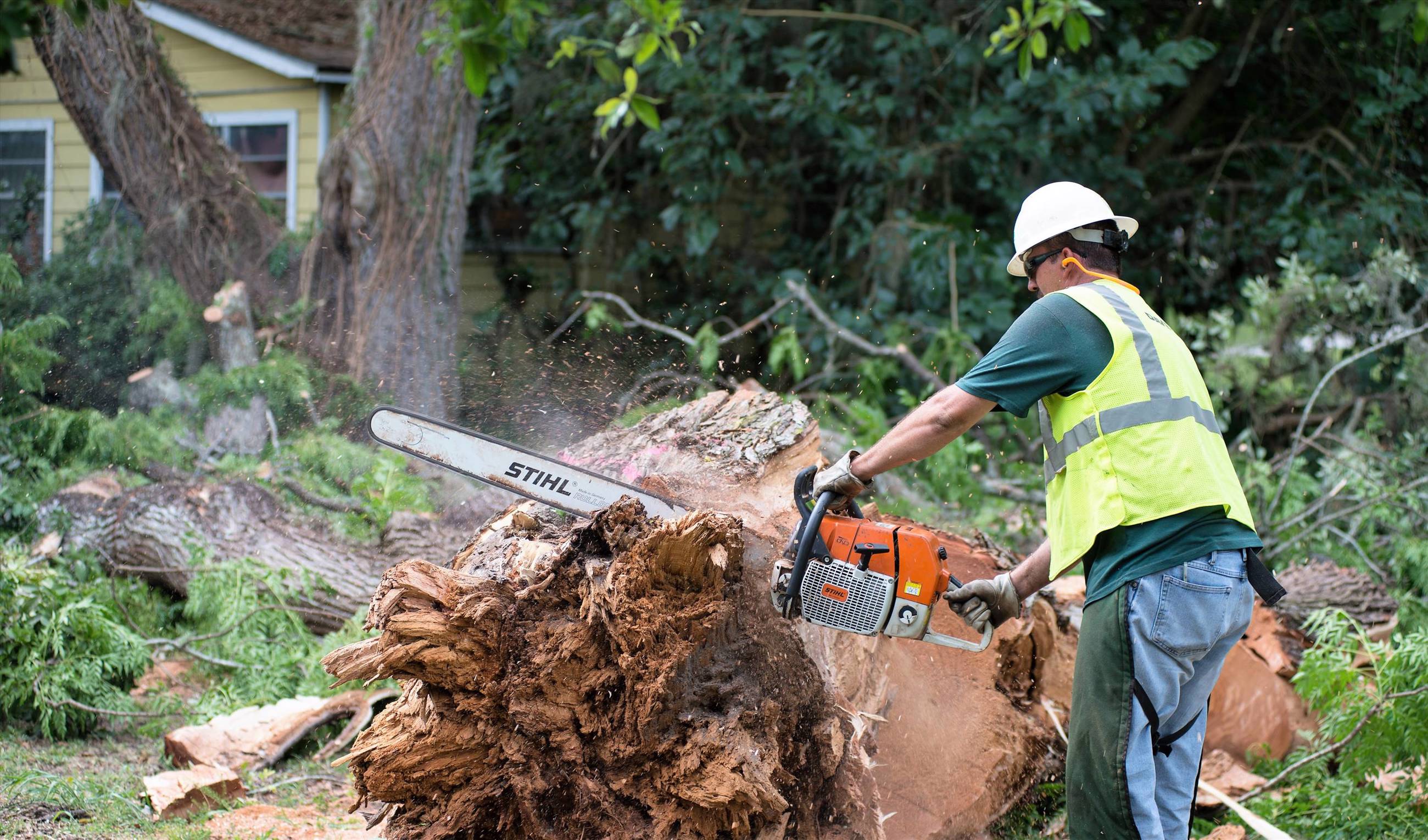 Local Tree Removal near Atlanta and Charlotte Areas